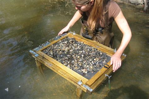 How To Build A Sifter DIY