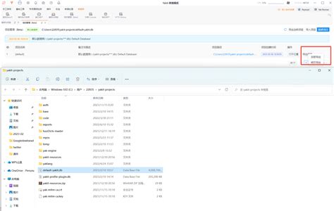 数据库 yak program language