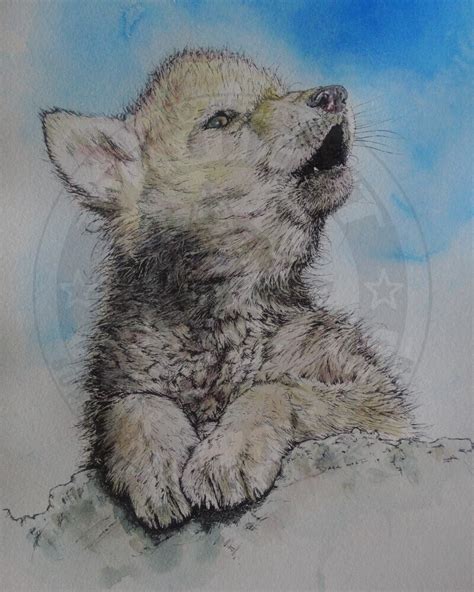 Wolf Pup Face Drawing