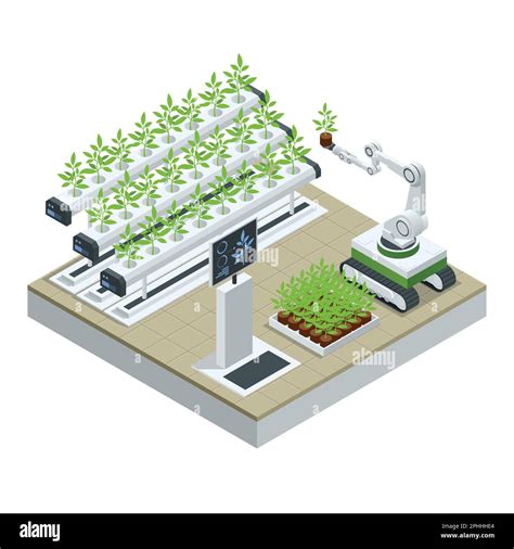 Isometric Modern Smart Industrial Greenhouse Artificial Intelligence Robots In Agricultural
