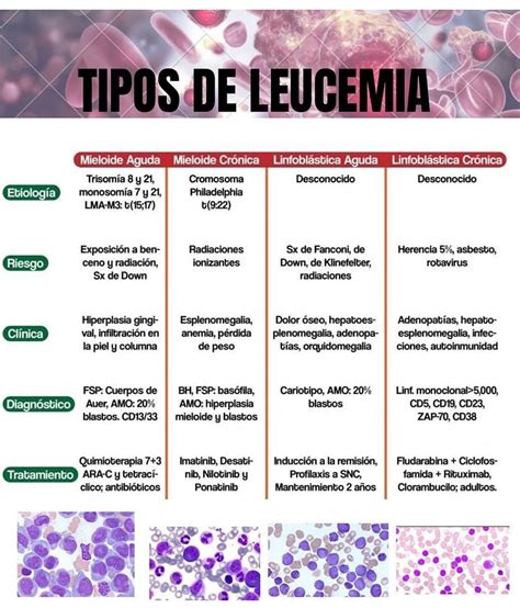 Tipos De Leucemia Laboratorio Clinico Bio Gen Facebook