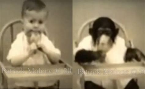 Cho Con Trai V Tinh Tinh N Ng C Ng Nhau Ph C V Th Nghi M Nh Khoa H C V I Ch M D T M I