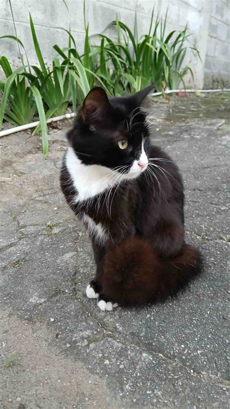 Differences Between Proc And Sys In Linux Itpro Helper