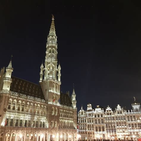 퇴사여행 22 파리 벨기에 당일치기 2 브뤼셀 브뤼셀 중앙역 예술의 언덕 오줌싸개 동상 그랑플라스 광장 야경 리에주 와플 Vitalgaufre