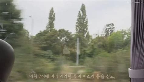 London 🇬🇧ㅣ런던 감성 가득 담은 여행 Ep1ㅣ노팅힐 시내투어 세븐시스터즈ㅣ예쁜 숙소 추천ㅣ아이와 둘이 런던 여행