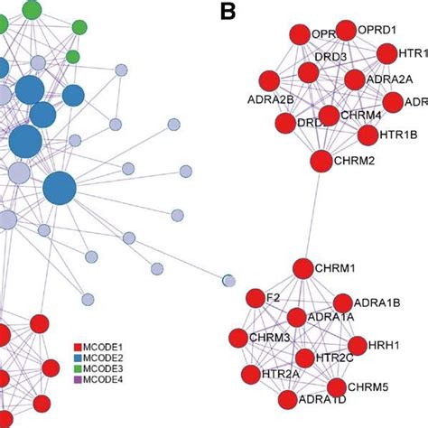 A Ppi Networks Analysis B The Core Targets Extracting From All Download Scientific Diagram