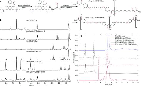 End Group Functionalization Of Polyanhydride Copolymers With Rho A Download Scientific