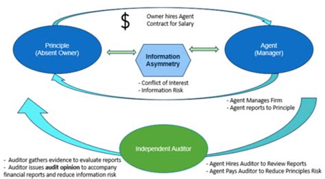 Chapter 1 Introduction To Assurance And Financial Statement Auditing Flashcards Quizlet
