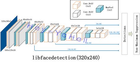 快如闪电的人脸检测——tengine Libfacedetection 极术社区 连接开发者与智能计算生态