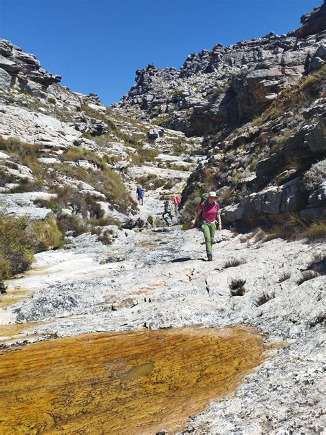 The Mcsa Cape Town Section Hex Exploration