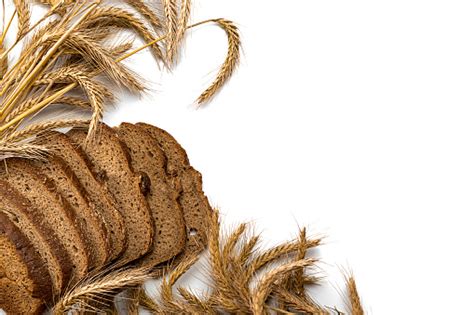 빵을 자른다 흰 배경에 고립 된 밀 곡물 귀 또는 스파이크 식물이있는 소박한 전통 빵 덩어리 거친 빵과 부스러기가있는 호밀 빵집 바이오 성분 매우 건강한 씨앗 0명에 대한