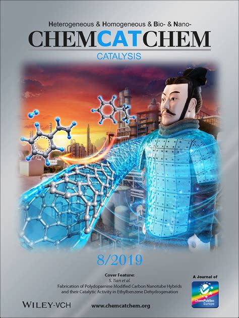 Cover Feature Fabrication Of Polydopamine Modified Carbon Nanotube Hybrids And Their Catalytic