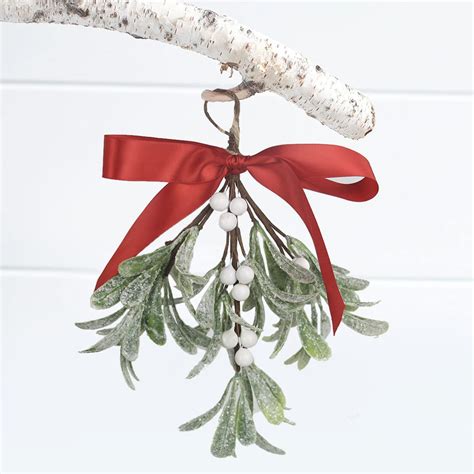 Hanging Mistletoe
