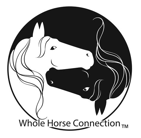 Full Stride Equine Performance