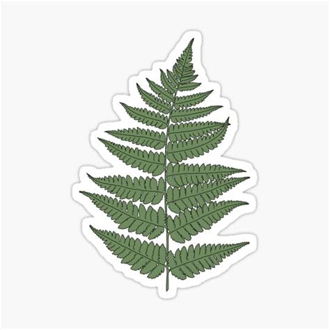 Fern Sticker For Sale By Trinityyyyart Redbubble