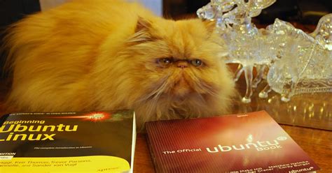 Ve9kk The World Of Cw The Ubuntu Linux Learning Curve