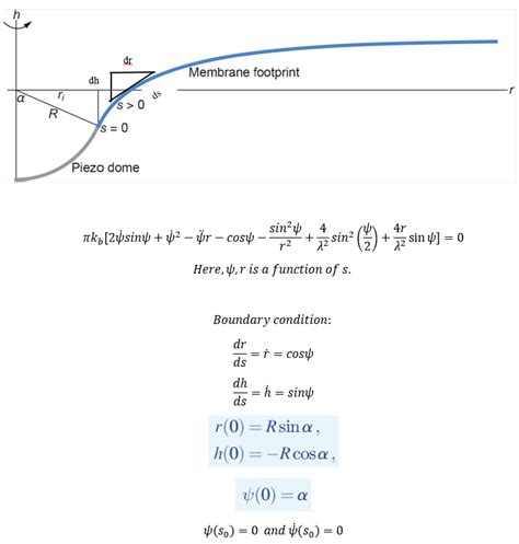 Solved What Is The Matlab Code For This Equation Use Bvp4c