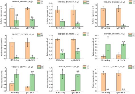 Qrt Pcr Validation Of Differentially Expressed Genes Download