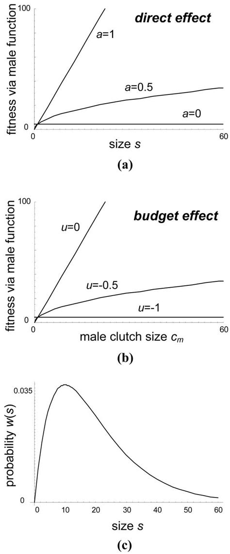 Fitness Curves And Size Distribution The Specific Model Male Fitness Download Scientific