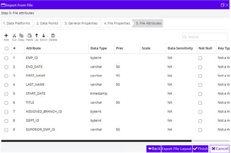 Importing Delimited File Schemas