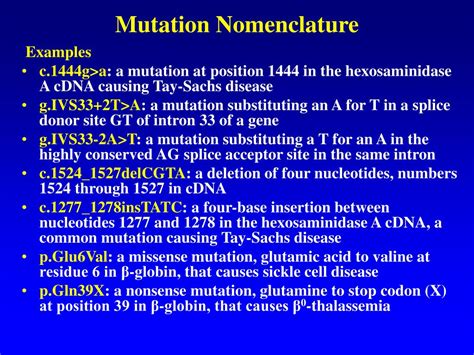 Ppt Gene Mutation Polymorphism Gene Mapping And Identification （ From Genotype To Phenotype