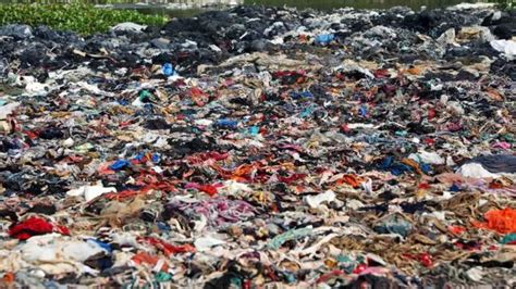 지속가능한 패션 웰빙 의류가 필요한 이유 Bbc News 코리아