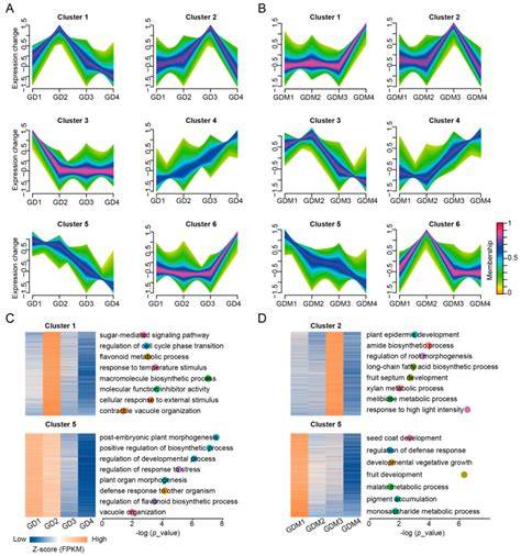 Multidimensional Transcriptomics Reveals The Key Genes And Pathways