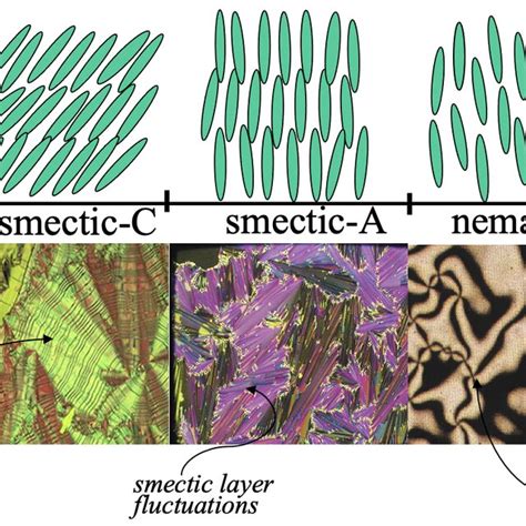 Illustration Of The Most Ubiquitous Nematic Orientationally Ordered