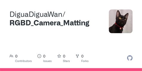 Github Diguadiguawanrgbdcameramatting