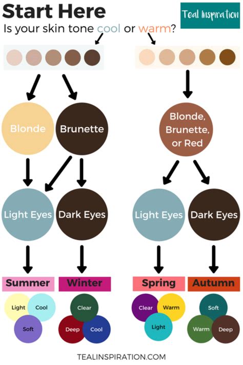 Seasonal Color Analysis Flow Chart At John Triplett Blog
