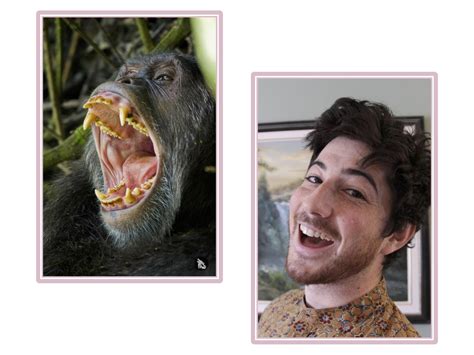 Chimp Comparison Sam Snow Science