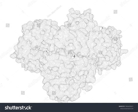 3d Rendering Line Drawing Biological Molecule Stock Illustration 1966603621 Shutterstock