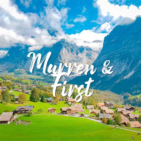 뮈렌 통나무도 보고 피르스트에서 액티비티도 즐긴 스위스 여행 다섯째 날 네이버 블로그