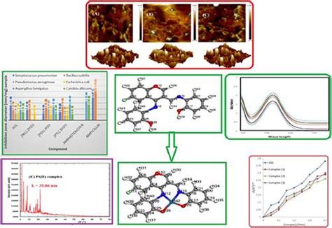 2 Z 6 氯 3 E 2 羟基苯基 亚氨基甲基二价纳米级镍、钯和铂螯合物的 Dna 相互作用、生物学和结构鉴定研究