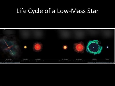 Low Mass Star Life Cycle