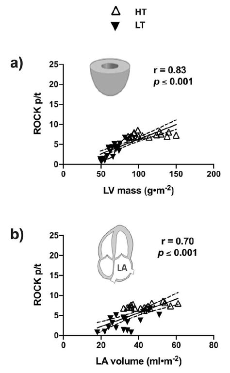 Correlation Between Rock Activity And Heart Remodeling Parameters A