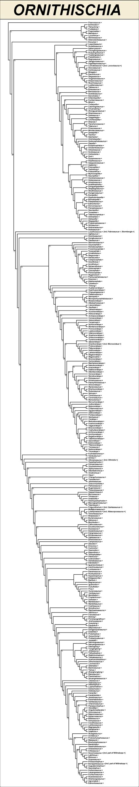 Resolution Of Ornithischia By Dennonyx On Deviantart