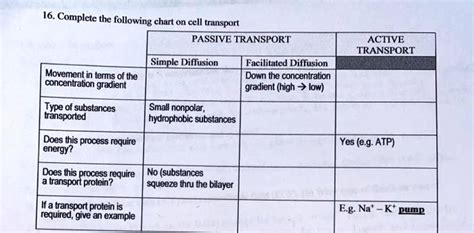 Solved Complete The Following Chart On Cell Transport Passive