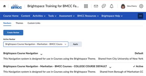 Customizing The Course Navbar Brightspace At BMCC
