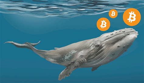 Bitcoin Whale Transfers 92857 Btc Worth 11 Billion Nairametrics