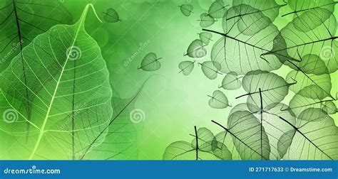 Leaf Cells Microscope Magnification Plant Leaf Microscopic Structure Royalty Free Stock Image