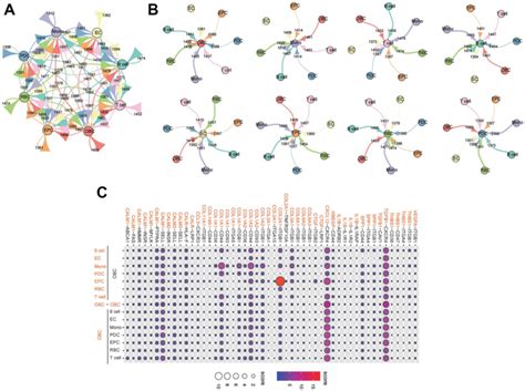 Extensive Crosstalk Networks In Human Femoral Head Tissue Cells A