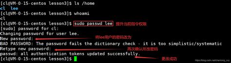 Shell的运行原理以及linux当中的权限问题shell 执行robot会涉及权限吗 Csdn博客