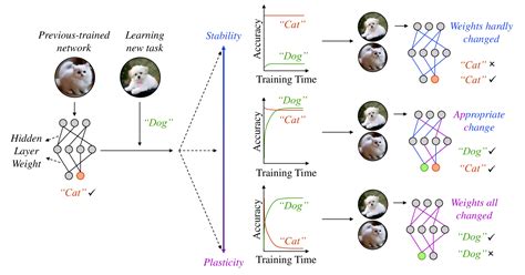 continual learning in bio plausible spiking neural networks with