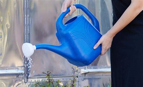 Best Watering Cans For Indoor And Outdoor Gardening The Home Depot