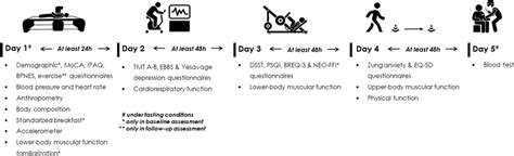 Assessment Protocol Bpnes Basic Psychological Needs In Exercise Download Scientific Diagram