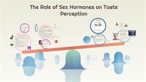 The Role Of Sex Hormones On Taste Perception By Sullin Gonzalez On Prezi