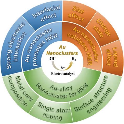 A Diagram Showing The Differen Image Eurekalert Science News Releases