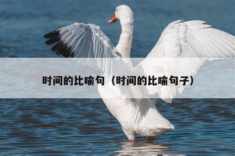 上联上联是一二声还是三四声 励志文章 喜文网 汇集经典美文美句大全