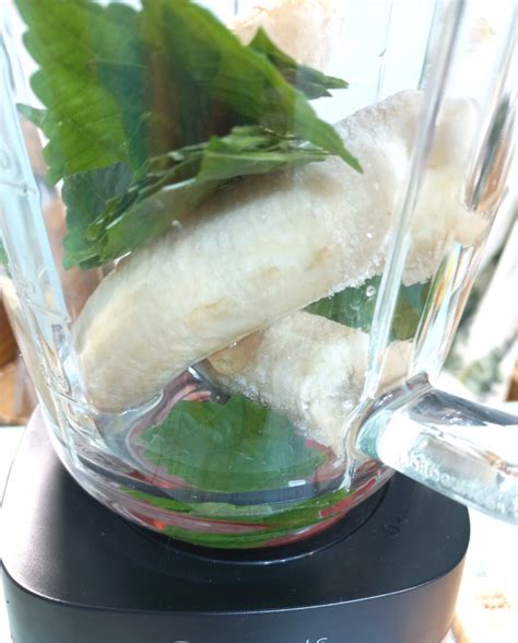 아침 건강 주스 깻잎 바나나 주스 만들기